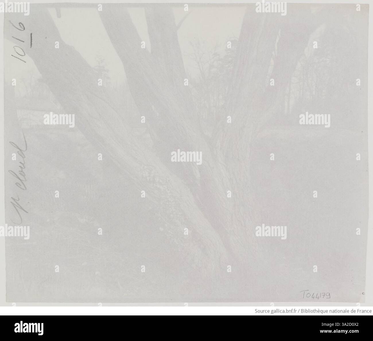 Eugène Atget’s photograph depicts the calming effect of St. Cloud park ...