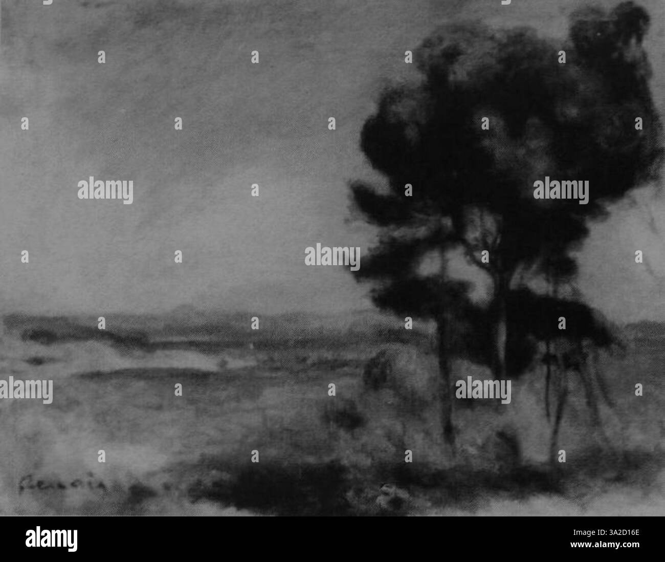 Timeless color palette Black and White Stock Photos & Images - Alamy