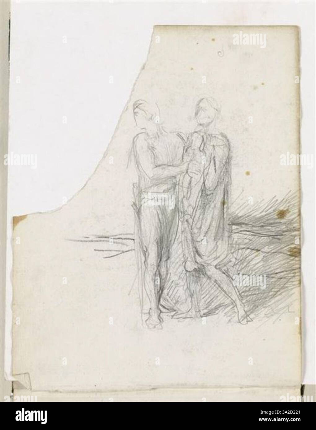 Chassériau’s study focuses on the anatomical structure of the human ...
