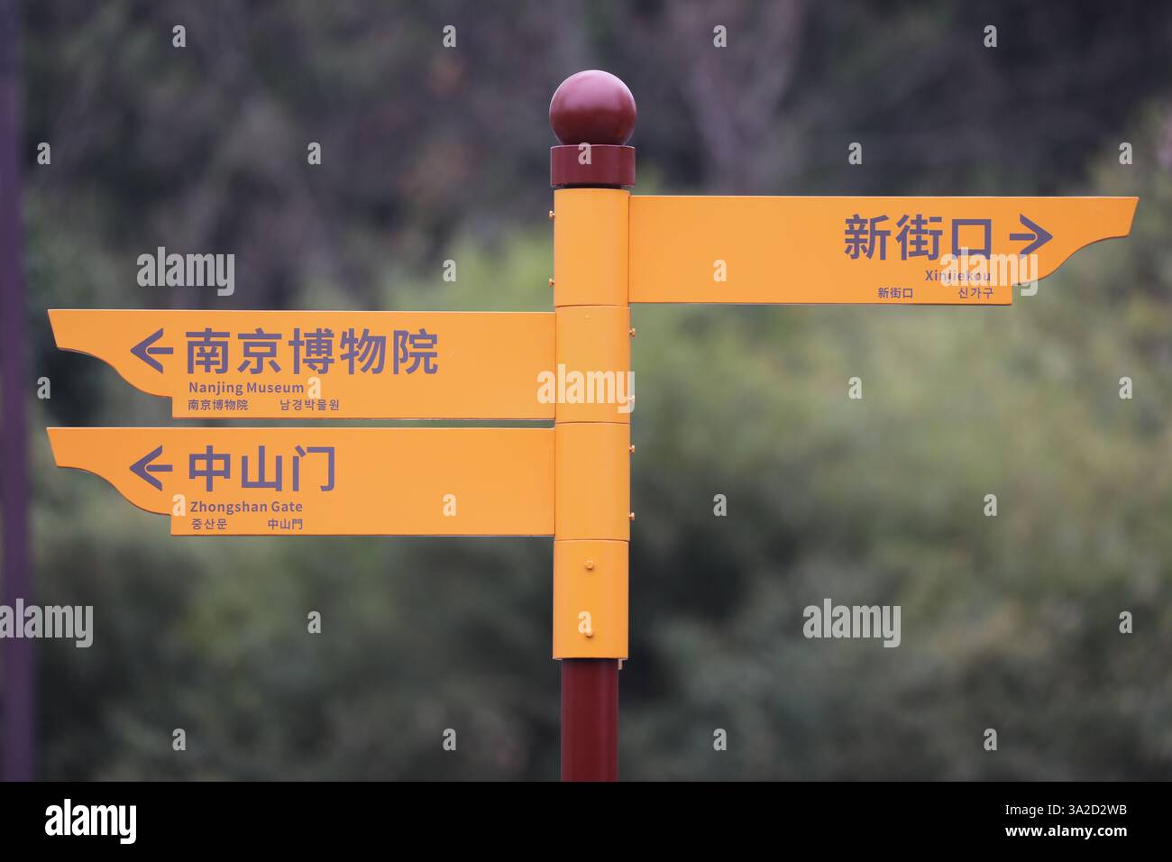 NANJING, CHINA - MARCH 13, 2025 - New street signs in Chinese, English ...