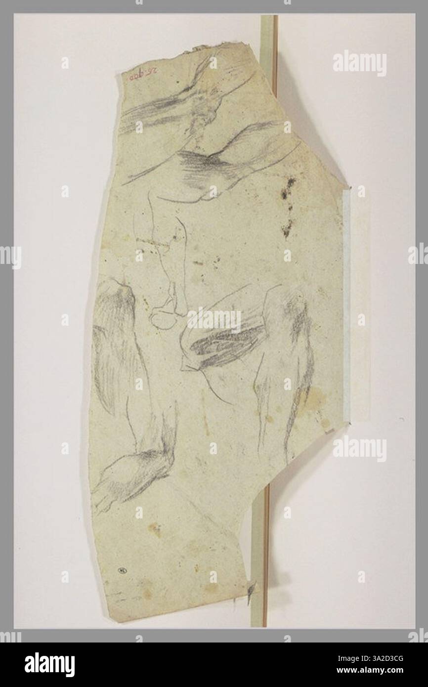 This drawing contains two studies each of arms and legs, focusing on ...