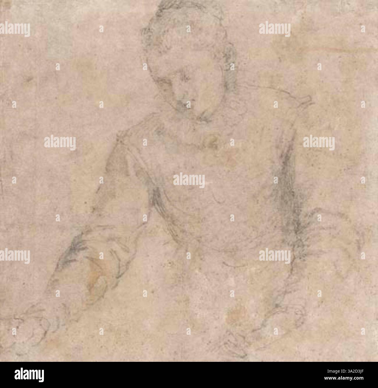 This study by Veronese depicts a woman leaning forward with her arms ...