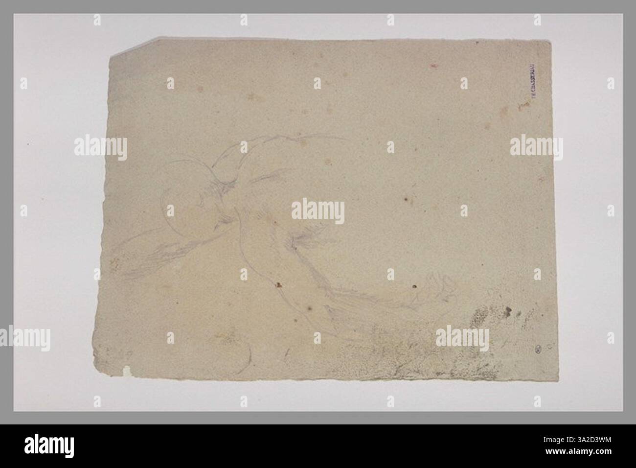 This drawing presents the back view of a man’s head, emphasizing the ...