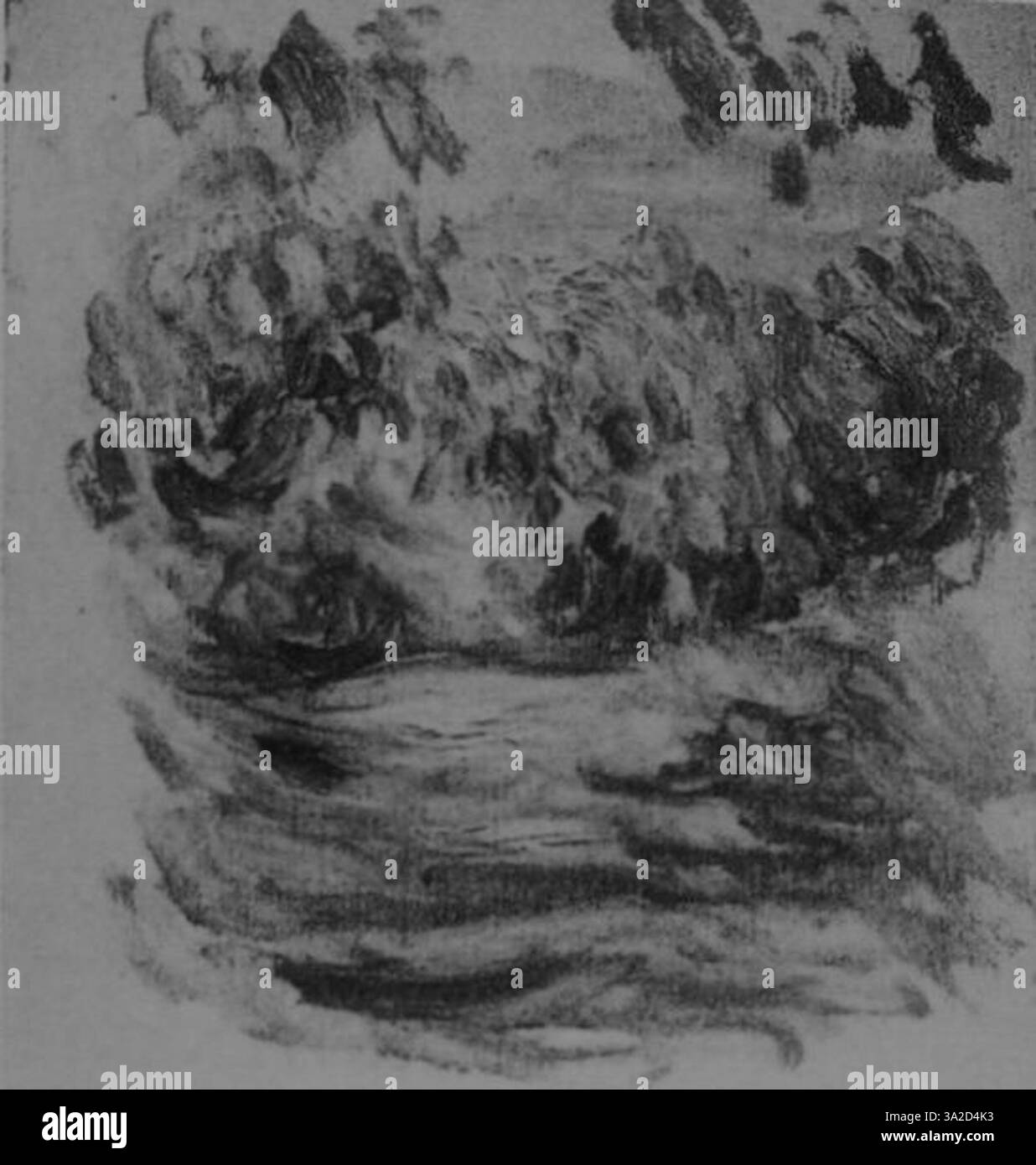 Interplay of natural Black and White Stock Photos & Images - Alamy