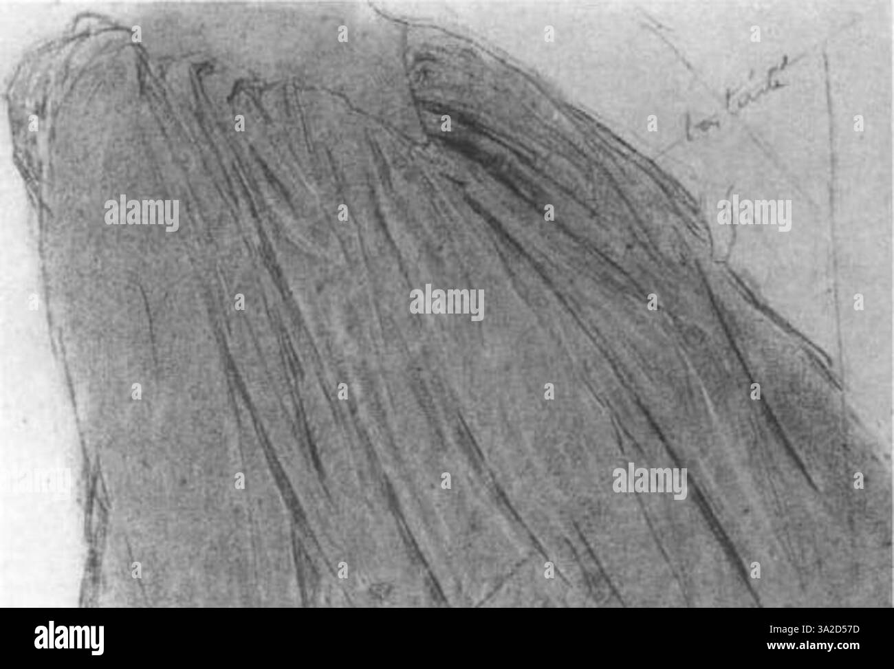 In this example from the Tinterow and Conisbee series, Ingres ...