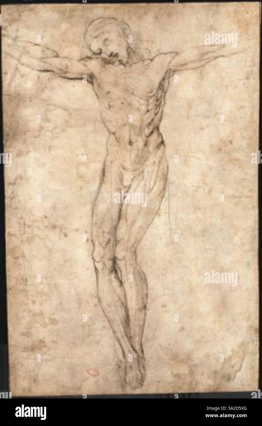 Luca Penni’s 'Studio anatomico per un crocifisso' is an anatomical ...