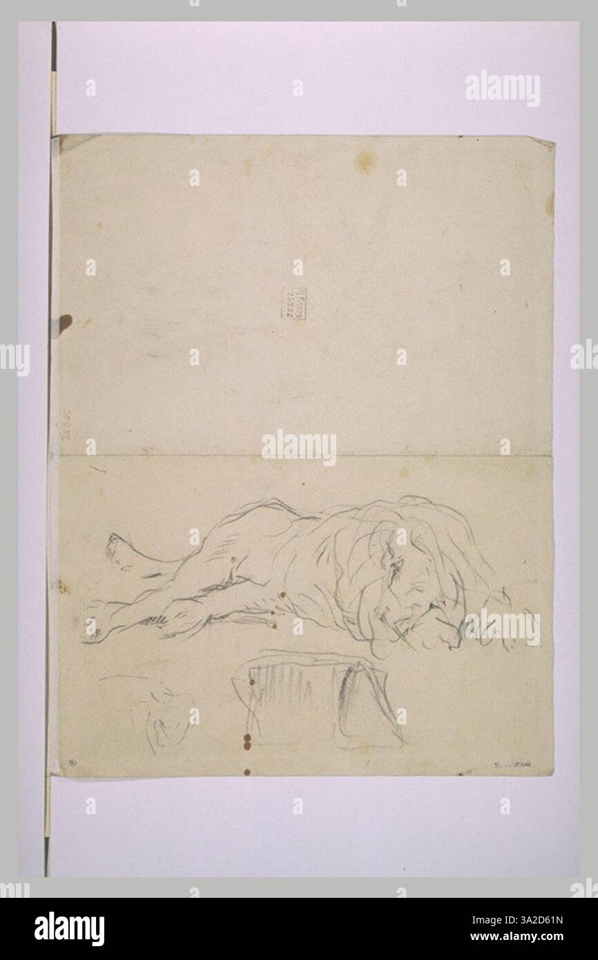 Chassériau's 'Lion couché devant une fosse' shows a lion lying down ...