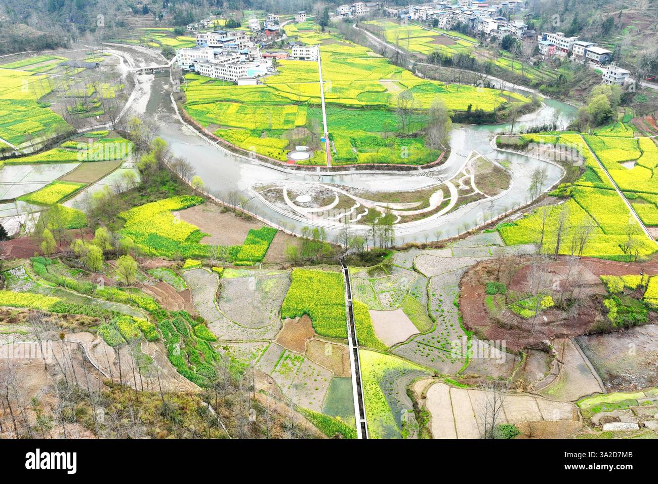 Aerial photo shows blooming cole flowers in Chongqing, China, 10 March ...