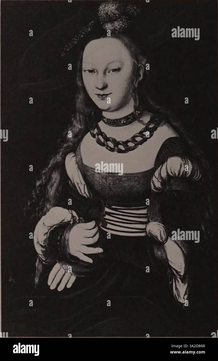 Lucas Cranach the Elder’s portrait exemplifies the artist’s skill in ...