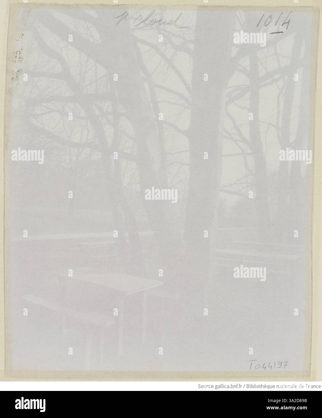 In this photograph, Eugène Atget presents St. Cloud park, with its ...