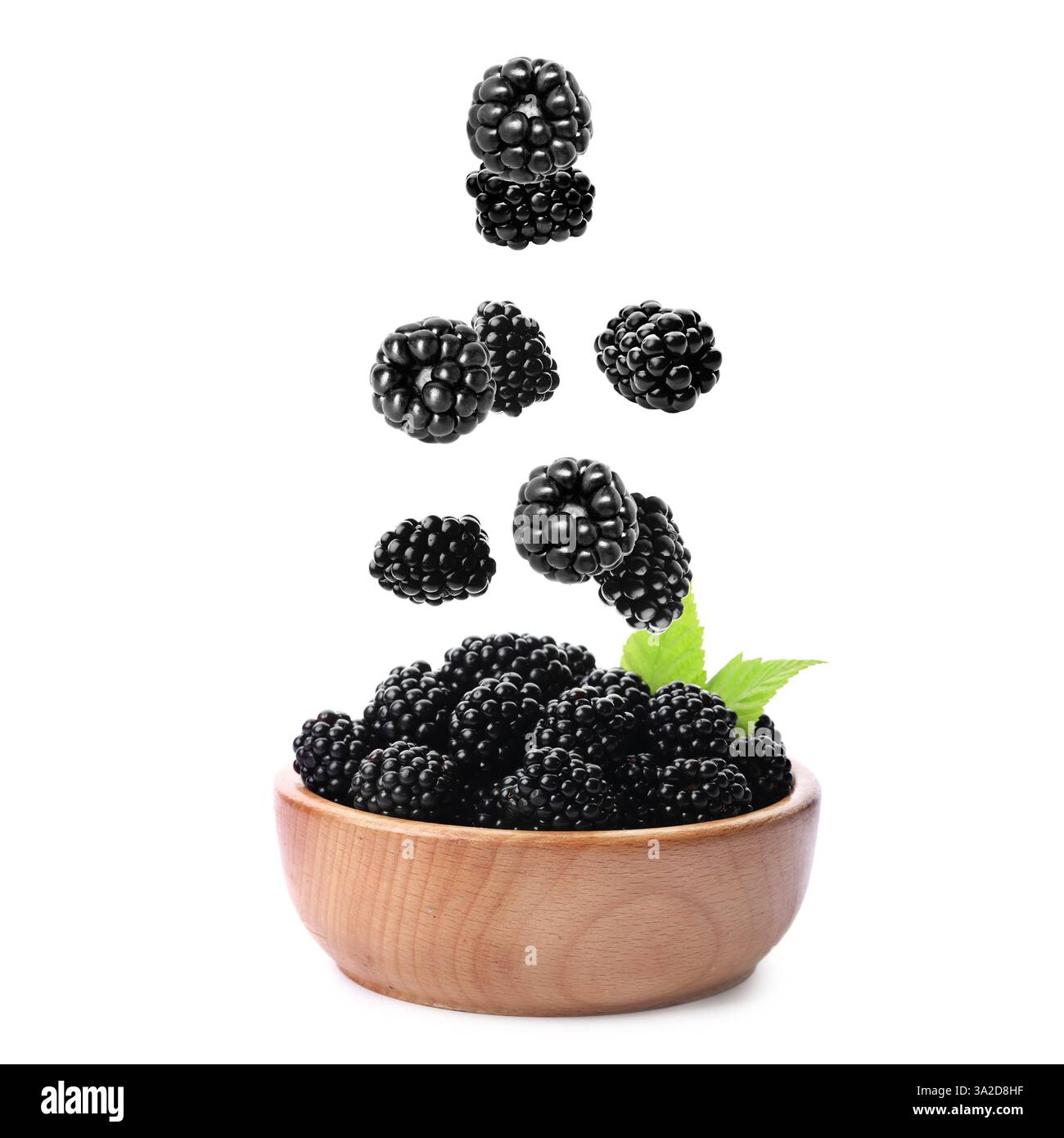 Fresh blackberries falling into bowl on white background Stock Photo ...