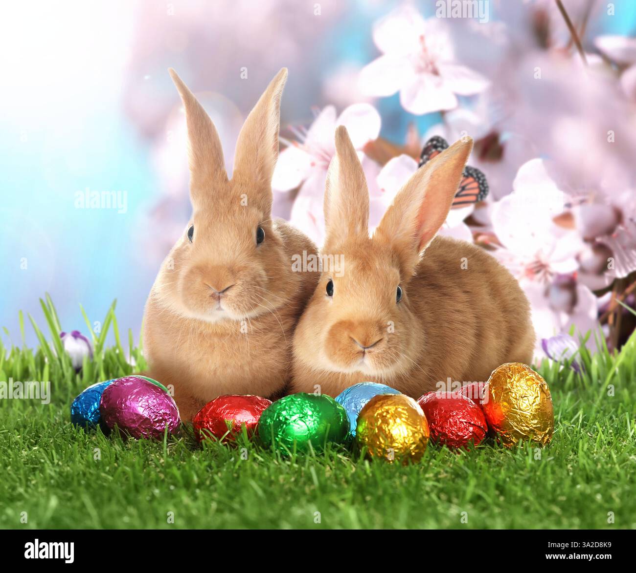 Easter celebration. Cute fluffy rabbits and chocolate eggs in shiny ...