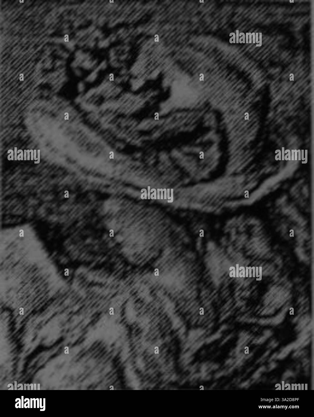 Pose conveying Black and White Stock Photos & Images - Alamy