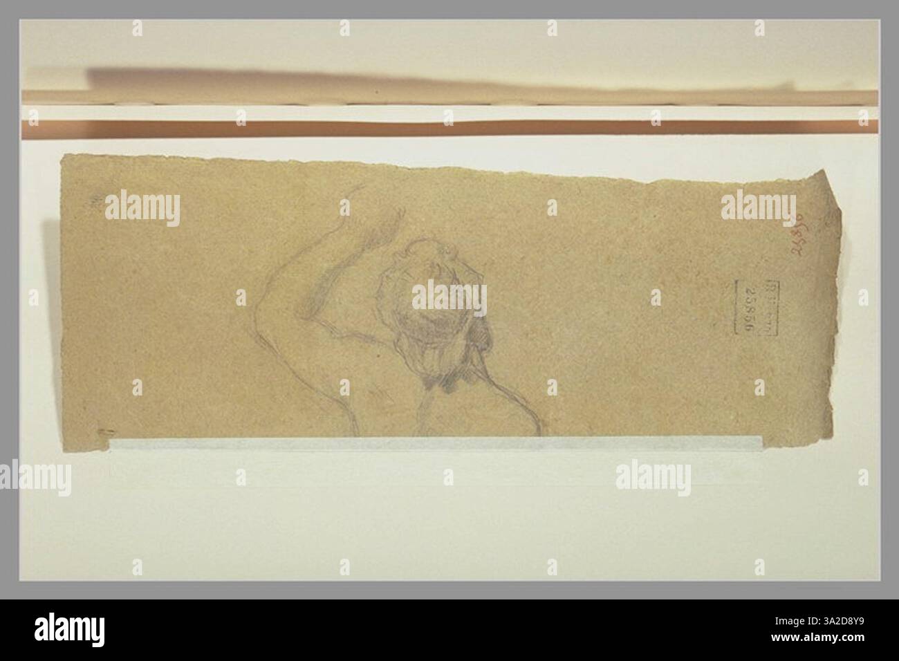 A bust portrait of a woman from the back, raising her left arm. The ...