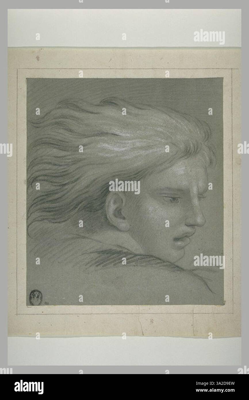 This study presents the head of a young man, the angel in Raphael’s ...