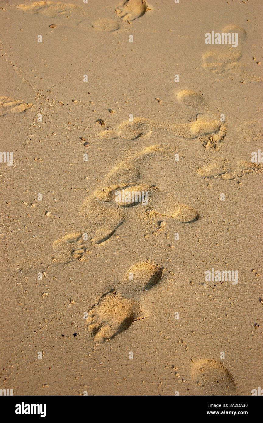 Barefoot footprints in the soft golden sand on a tropical beach in ...