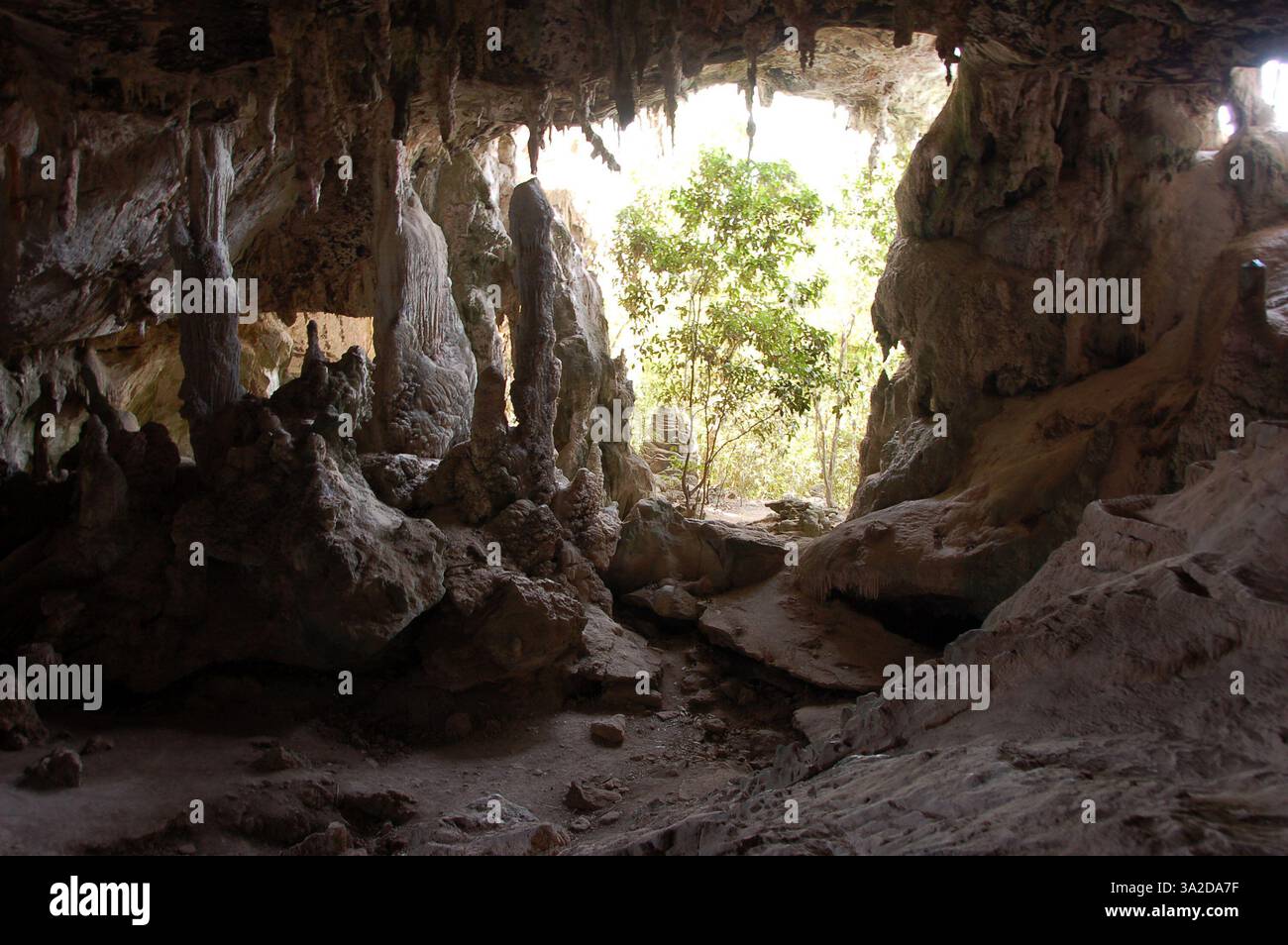 A mysterious limestone cave with intricate stalactites and stalagmites ...