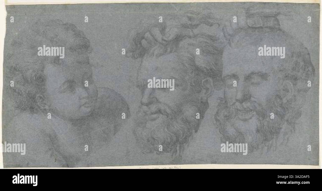 This study by Raphael explores the head of St. John from the 'Holy ...