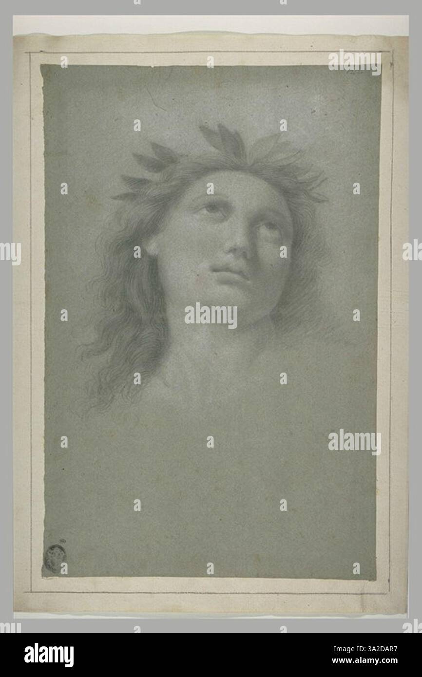 This image depicts the head of a young man crowned with laurel, inspired by Apollo from Raphael ...