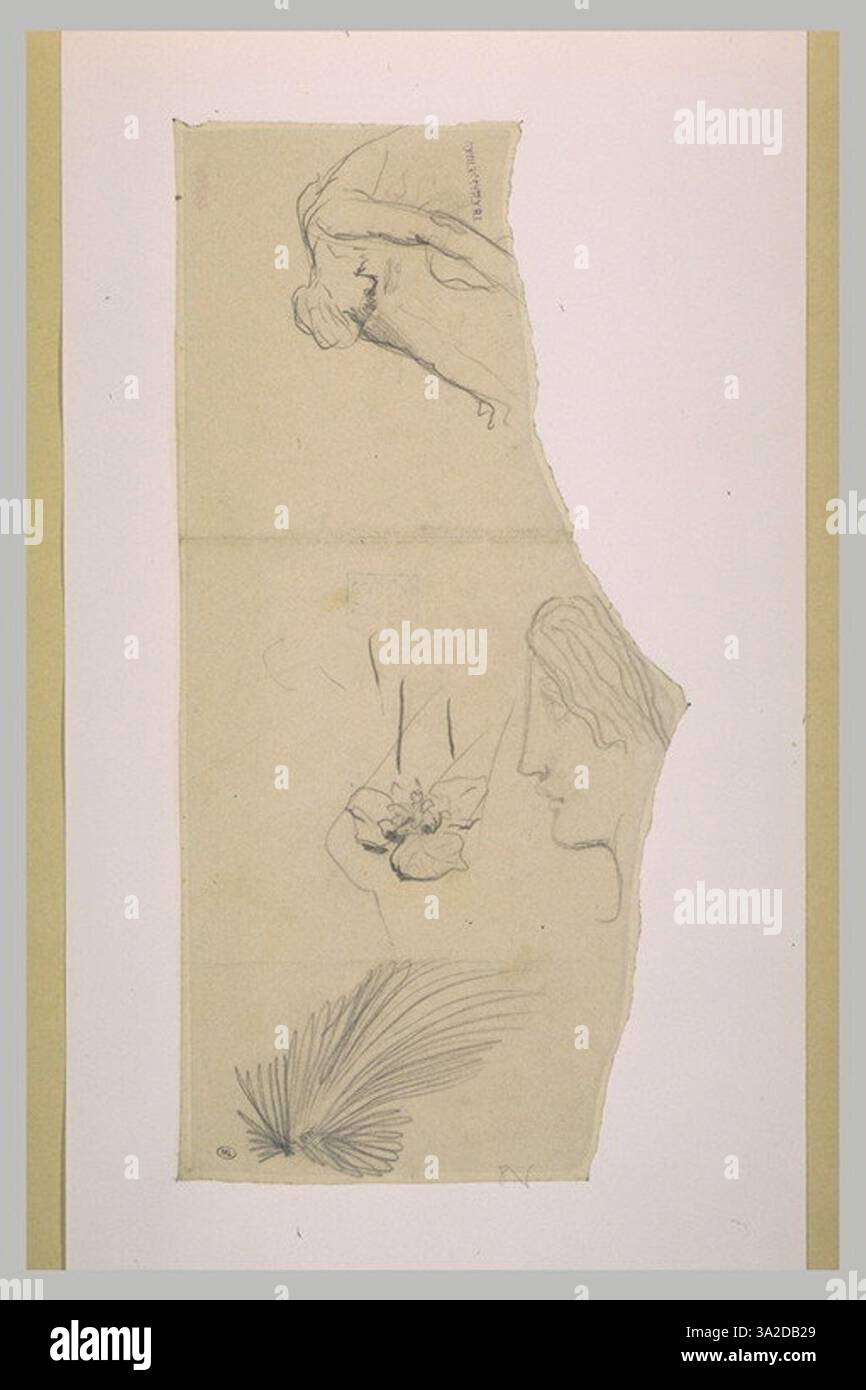 This recto sketch by Chassériau combines female figures with plants ...