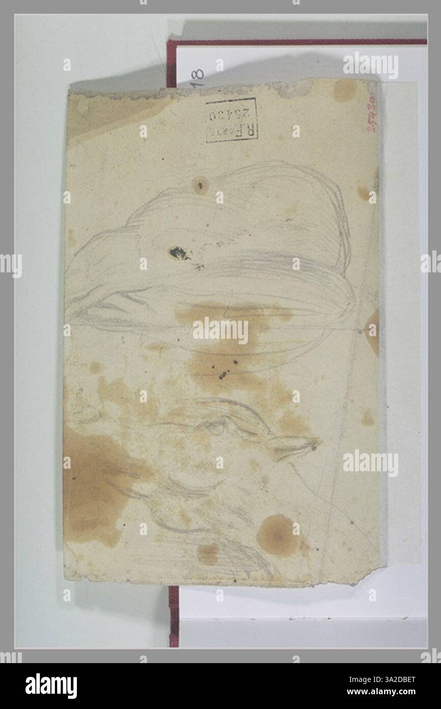 This drawing depicts the hindquarters and head of a horse, capturing ...