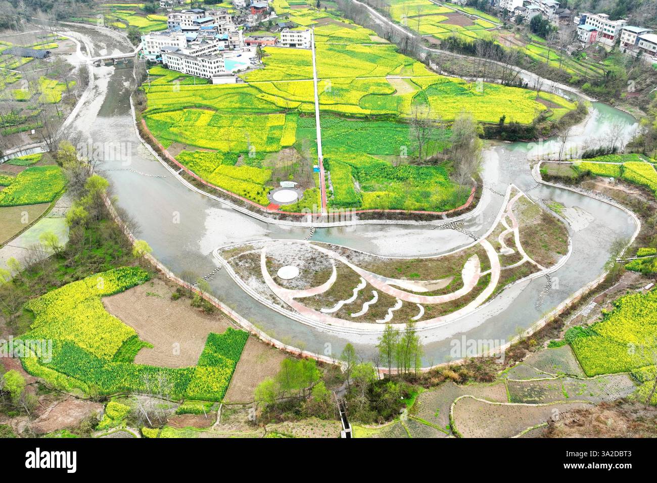 Aerial photo shows blooming cole flowers in Chongqing, China, 10 March ...