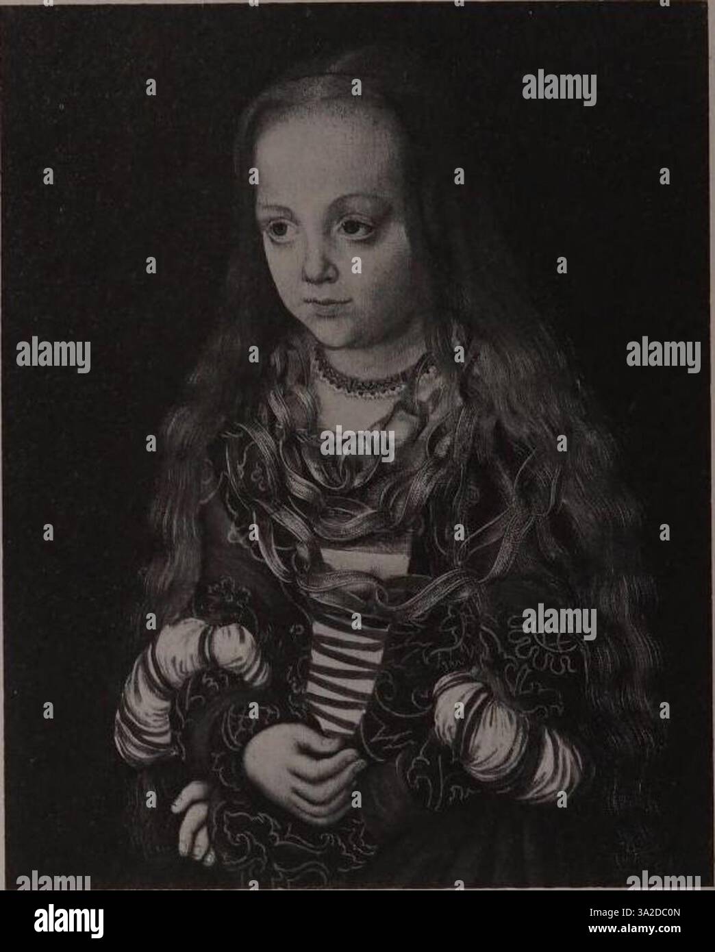 Lucas Cranach the Elder's portrait showcases his expertise in painting ...