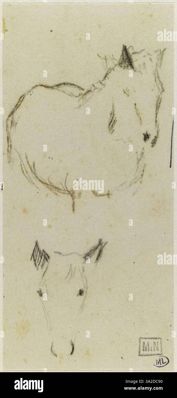 This study depicts a horse from the front, excluding the legs, and ...