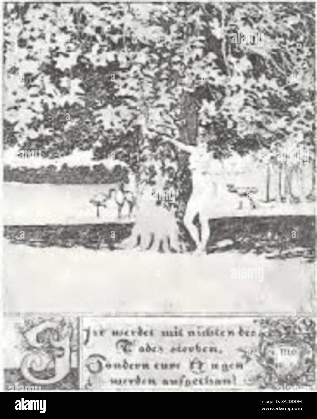 Max Klinger's 'Singer' (127) captures the emotional depth of a female ...