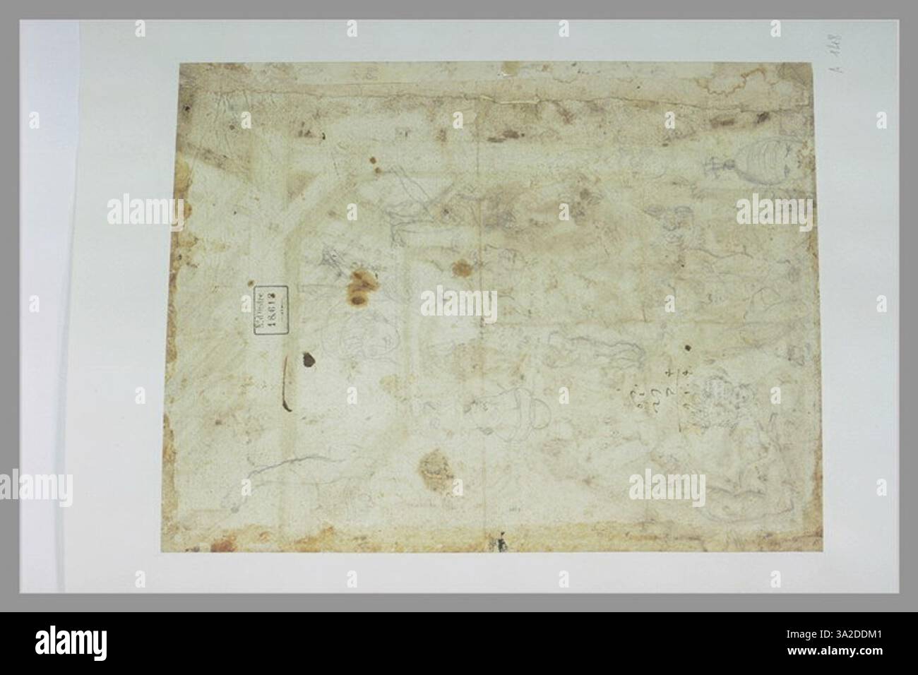 This sheet contains studies of heads and small figures, demonstrating ...