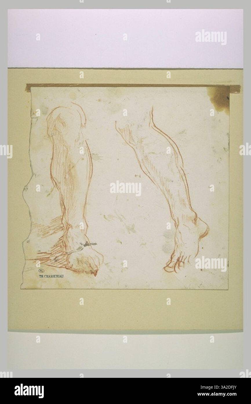 This drawing studies the left leg, shown from both front and side views ...