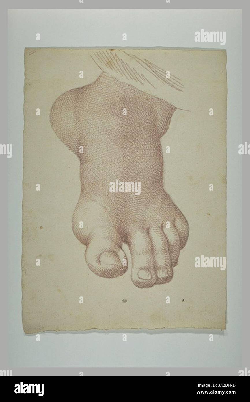 A study of the left foot of Saint Paul, highlighting the anatomical ...