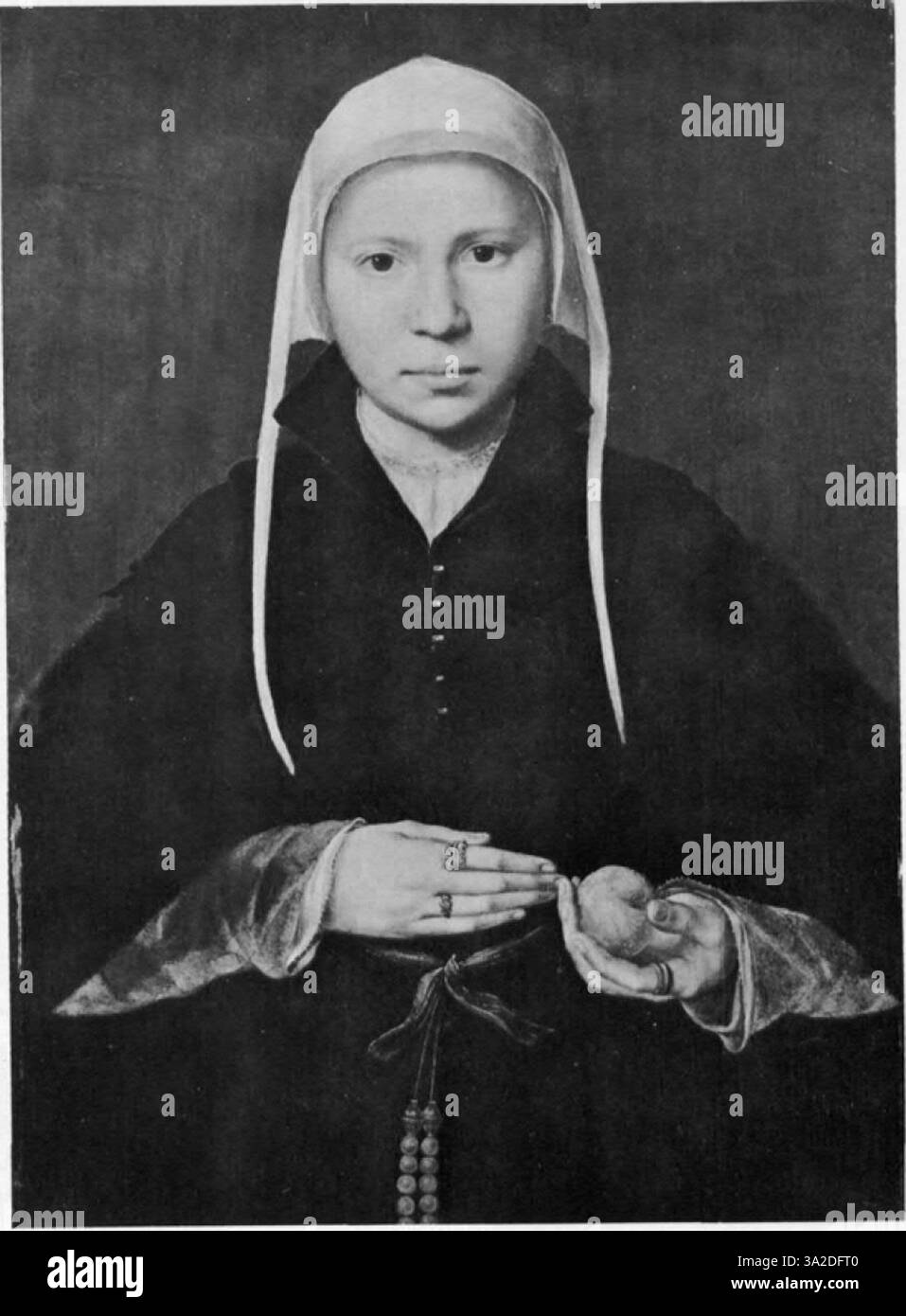 This religious painting by Jan van Scorel and Pieter Coeck van Aelst ...