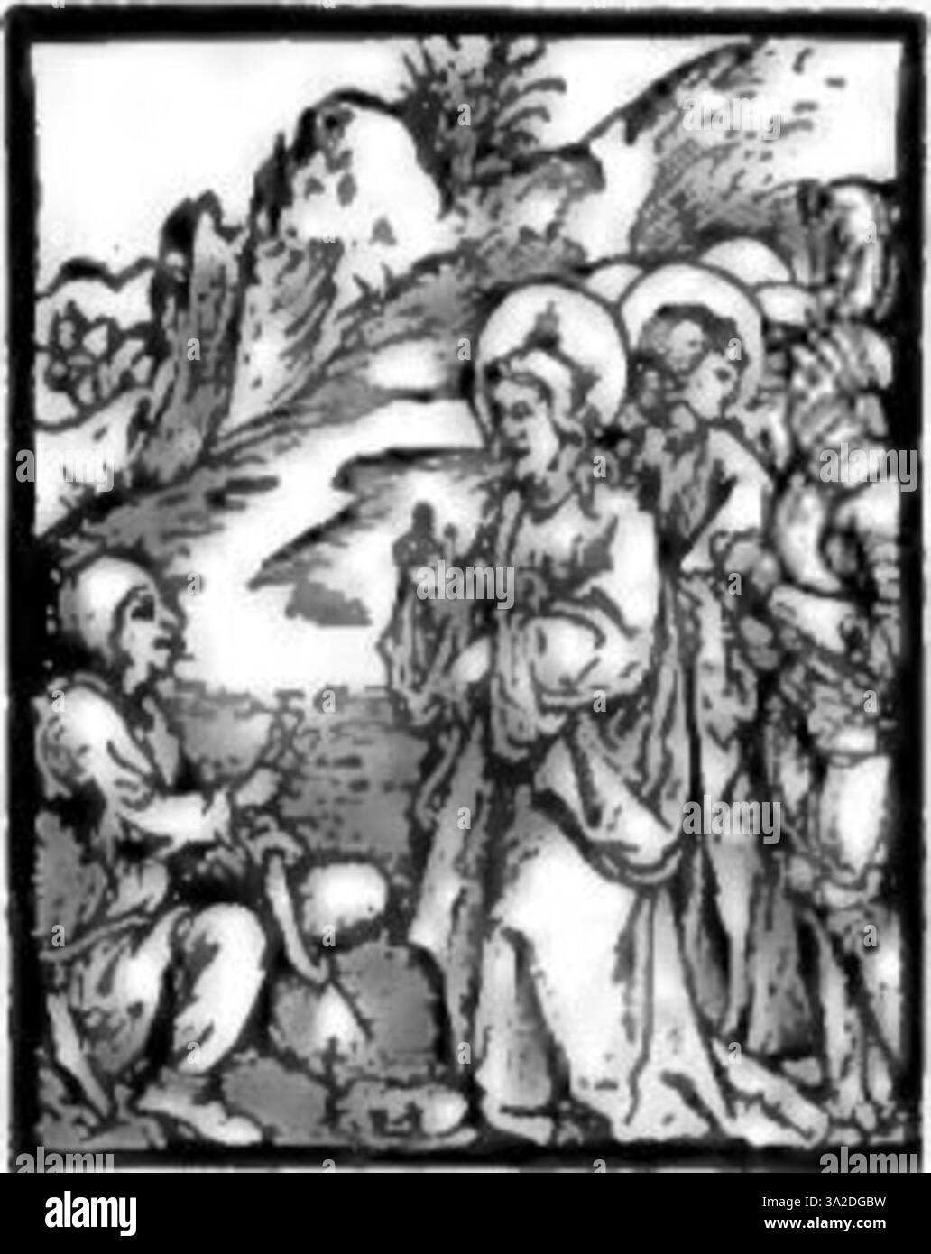 This engraving by Dürer showcases his technical ability in creating ...