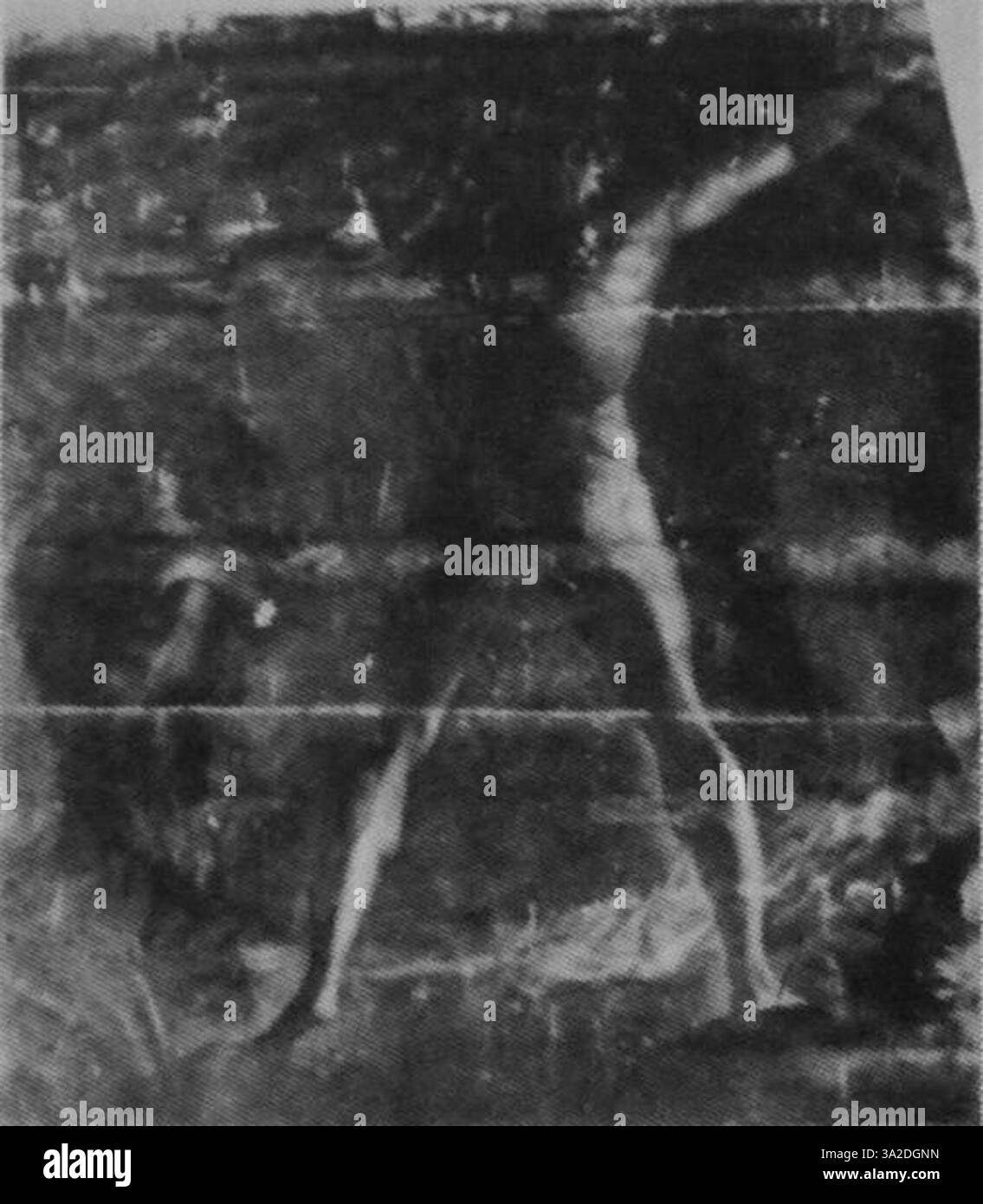 Fascination expression Black and White Stock Photos & Images - Alamy