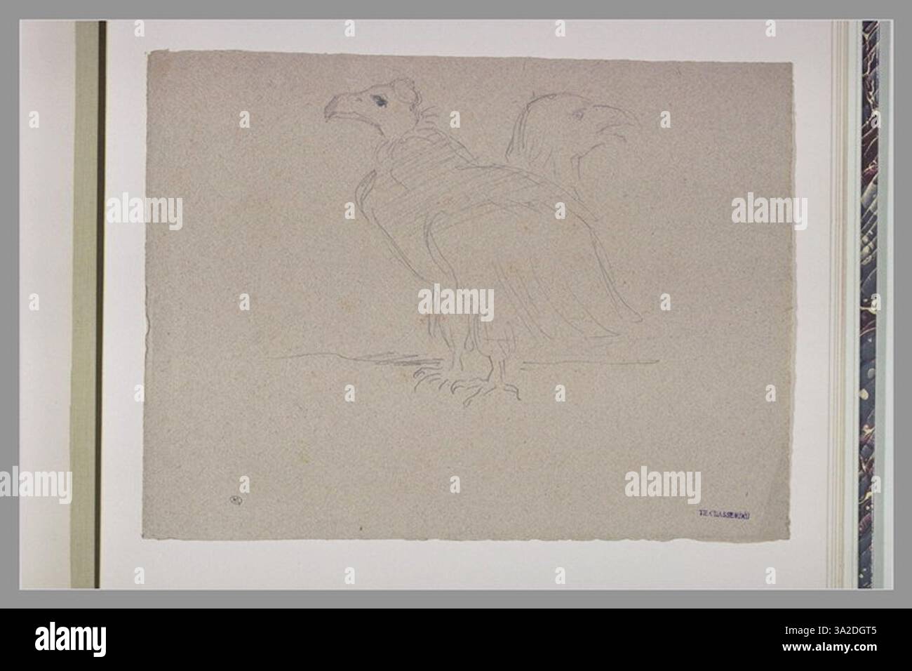 This drawing features a vulture with an eagle's head, highlighting the ...