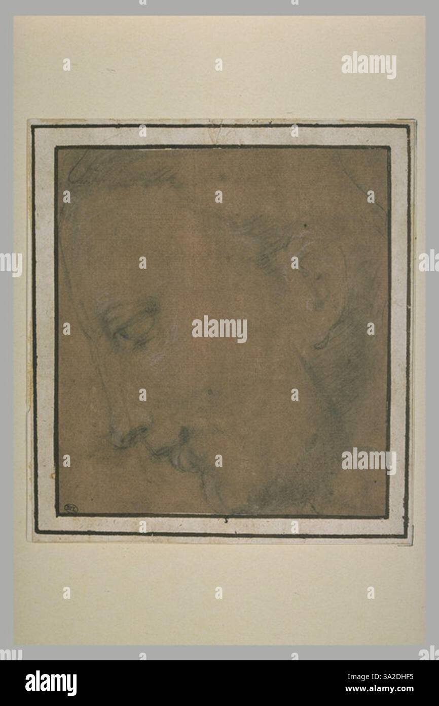 This artwork from Fra Bartolomeo’s school shows a profile view of a ...