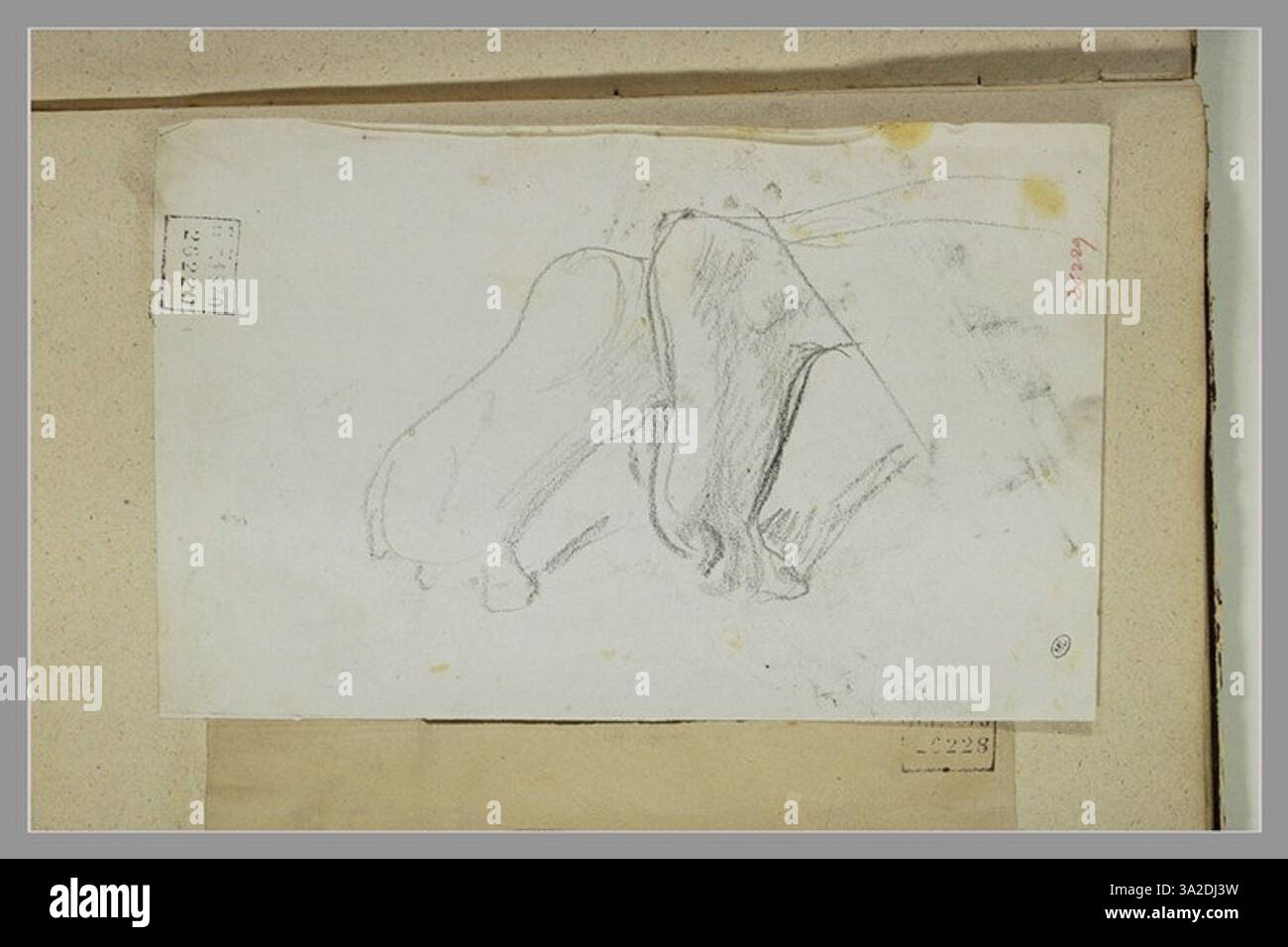 This study depicts two feet, focusing on their anatomical structure and ...