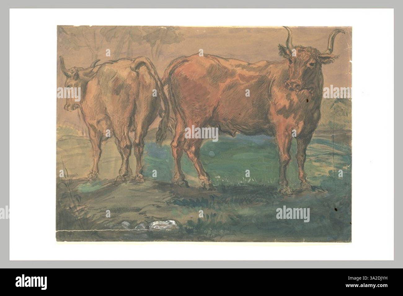 This drawing captures two oxen in a meadow, showcasing the animals ...