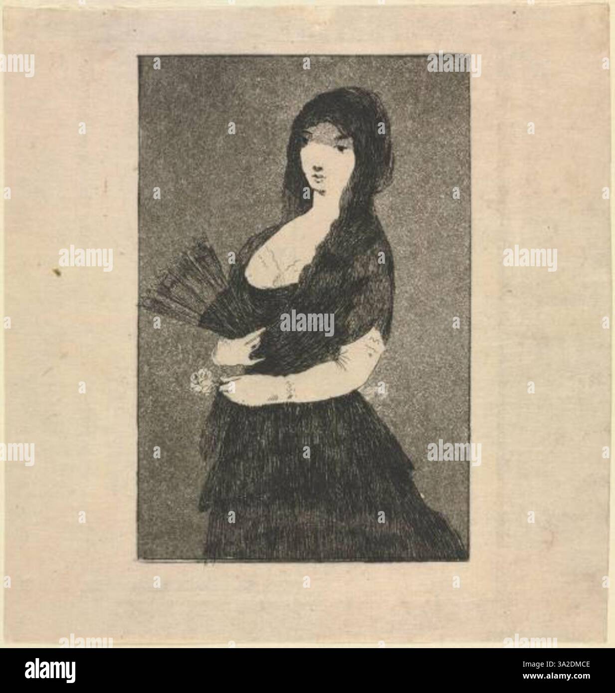 'Exotic Flower' depicts a woman in a traditional Spanish mantilla, a ...