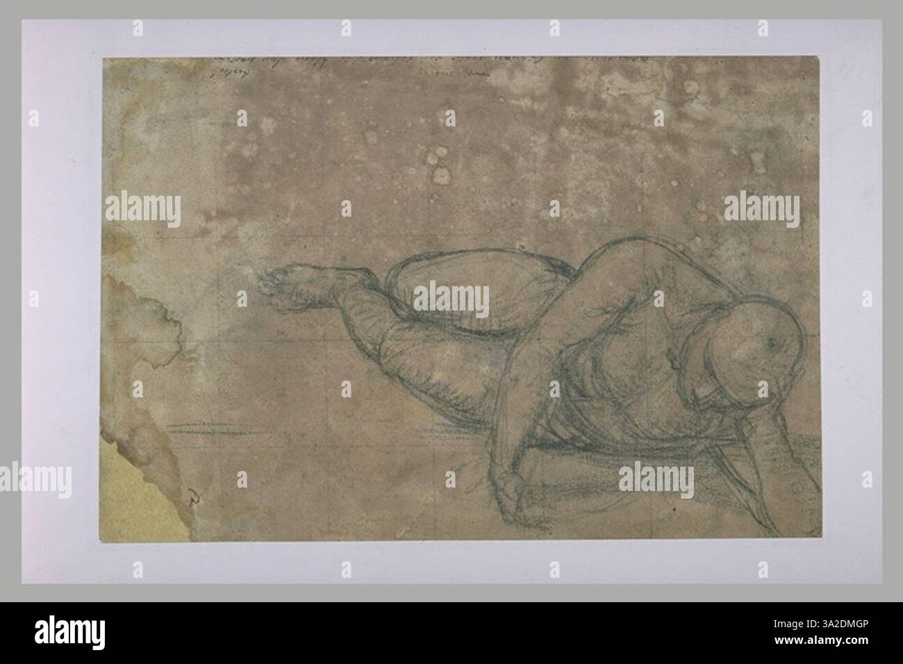 On the verso, Fra Bartolommeo continues his study of Adam asleep ...