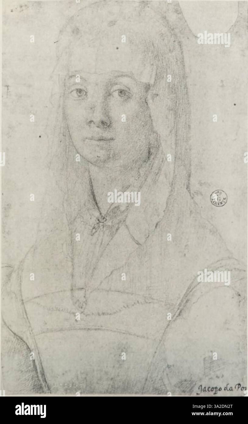 This 1494 work by Jacopo Pontormo displays his mastery in portraying ...