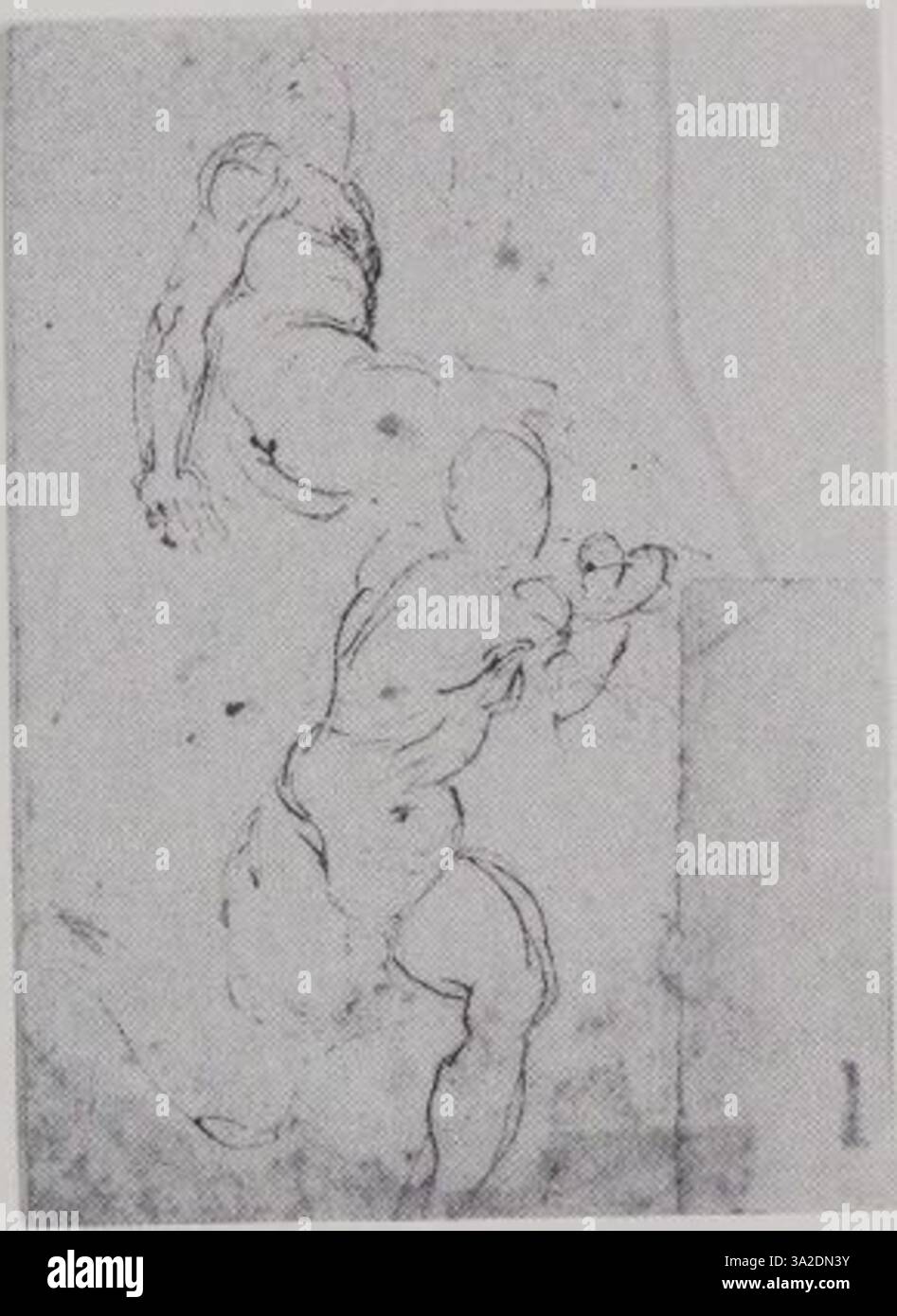 This sketch by Raphael captures the fluidity of the human figure ...