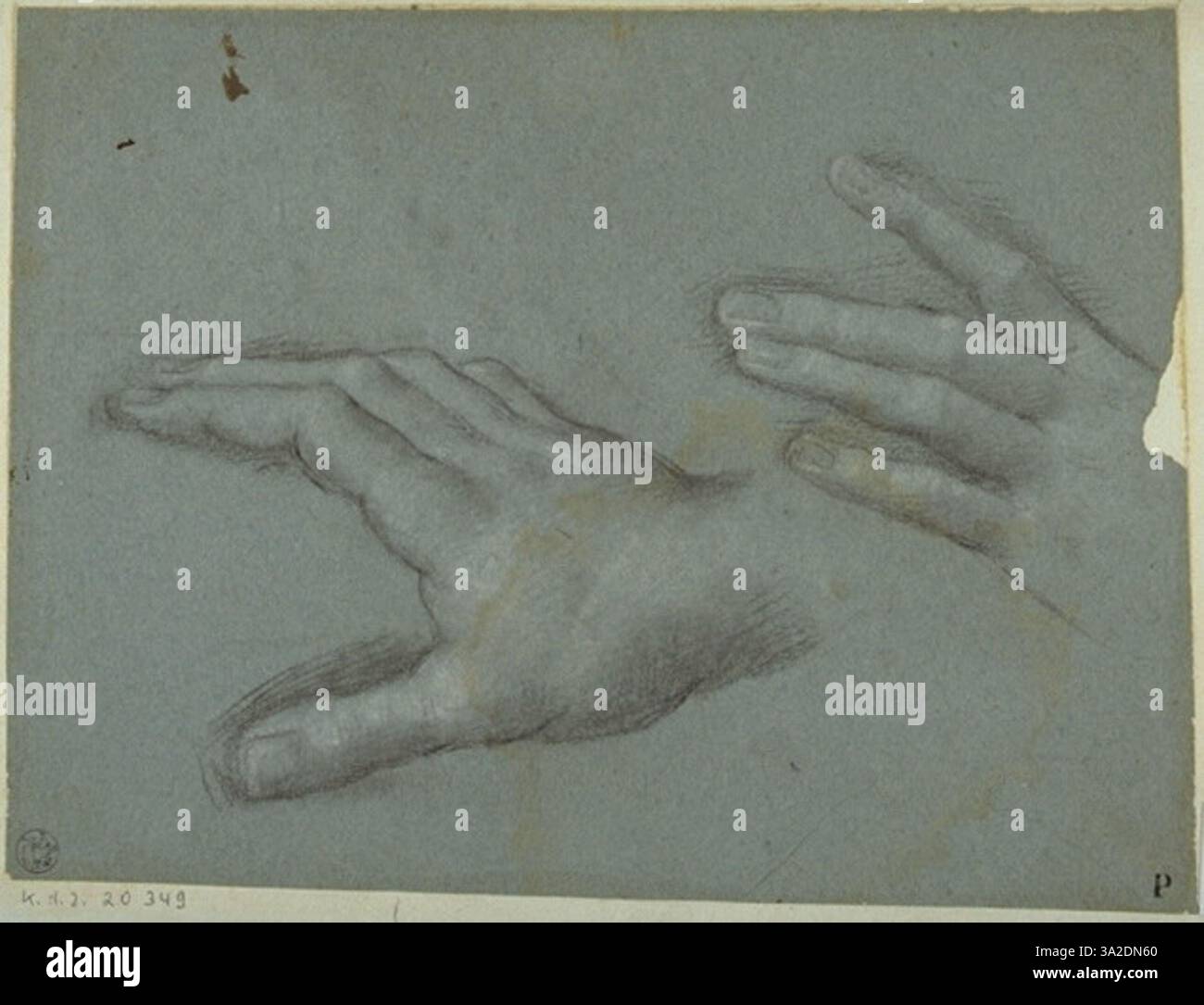 Study of two hands, focusing on anatomical structure and gesture Stock ...