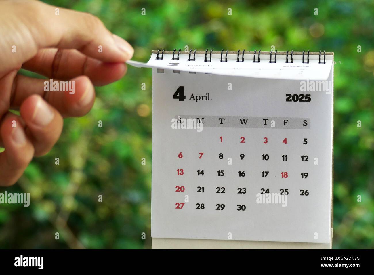 Hand flipping Desk Calendar from March to April 2025 with Green Nature ...