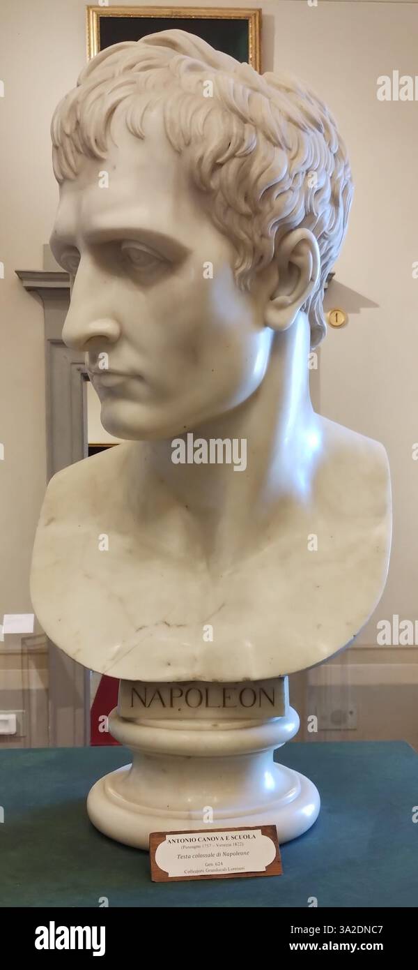 A photograph of the 'Testa colossale di Napoleone' ('Colossal Head of ...