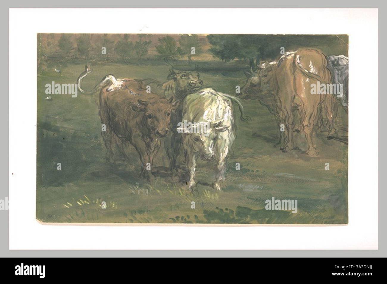This peaceful drawing by Chassériau depicts five cows grazing in a ...