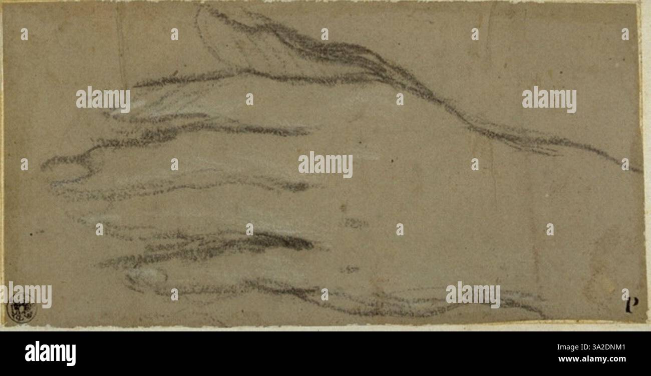 Detailed study of a hand, focusing on its form and anatomy Stock Photo ...