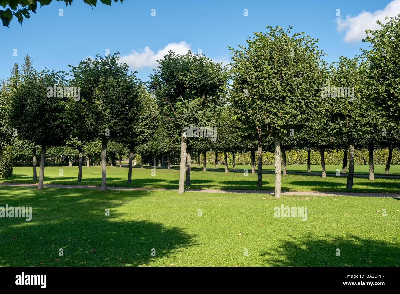 Lush green garden near Great Catherine Palace features perfectly pruned ...