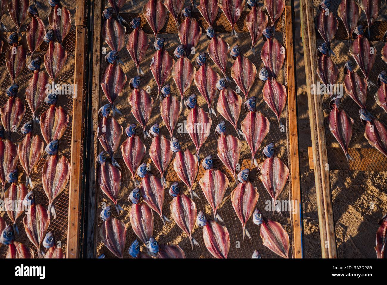 Sun-Dried Fish Museum is right on Nazaré’s main beach Stock Photo - Alamy